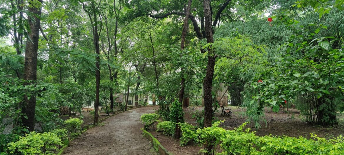 About Us - Padamdungari Eco Tourism Center