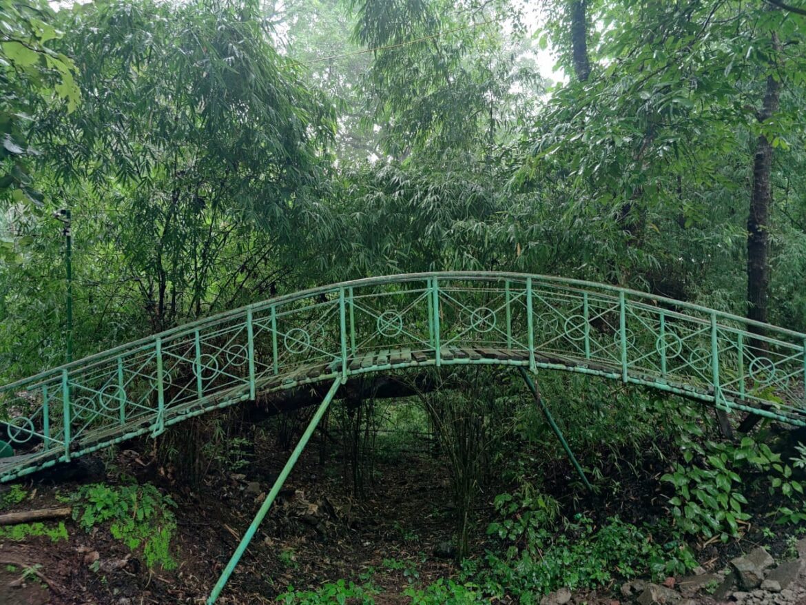 About Us - Padamdungari Eco Tourism Center